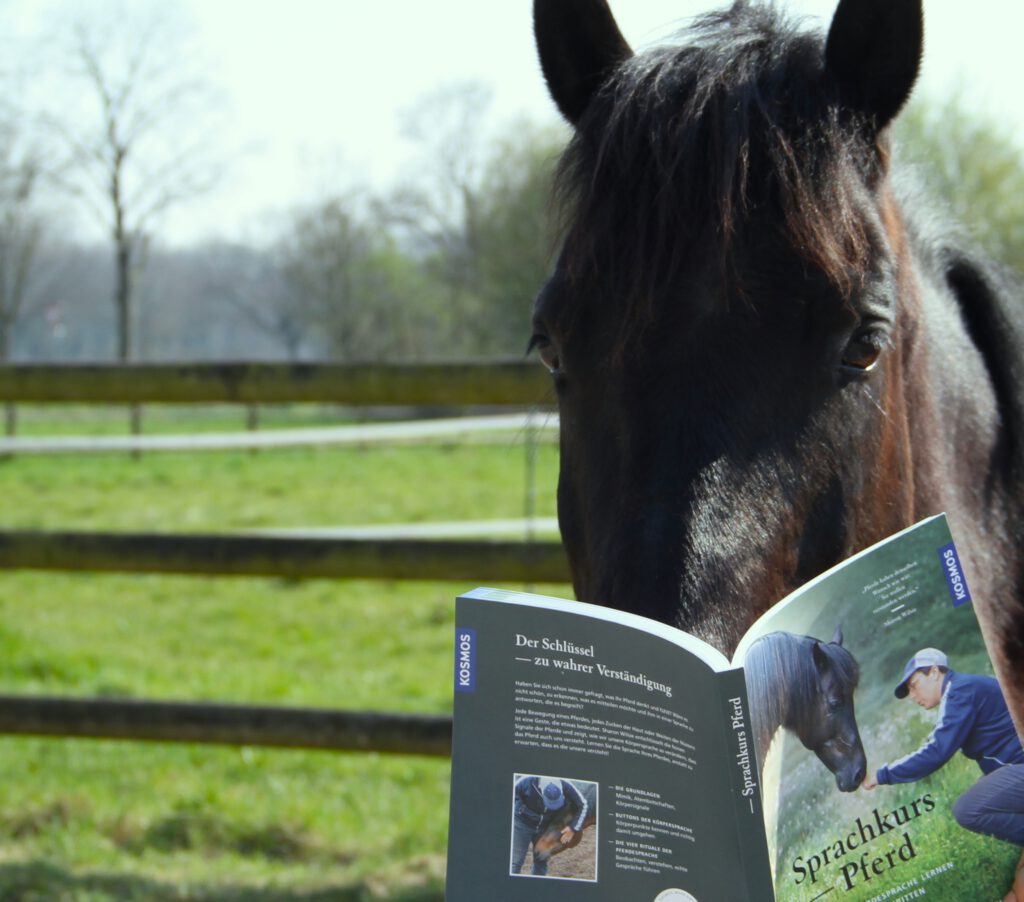 Für euch gelesen: Sprachkurs Pferd. Pferdesprache lernen in 12 ...